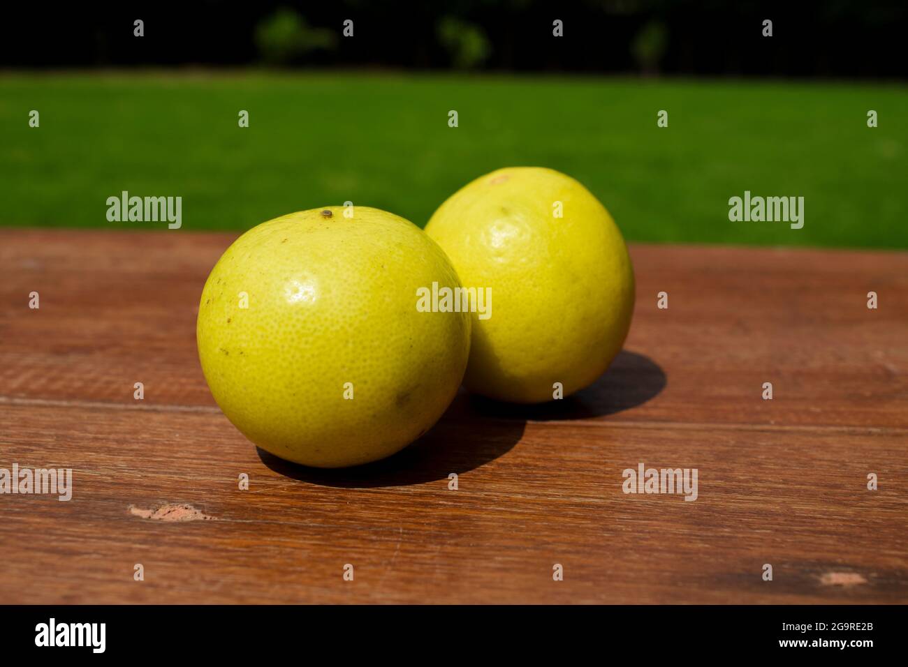 Indian lemons hi-res stock photography and images - Alamy