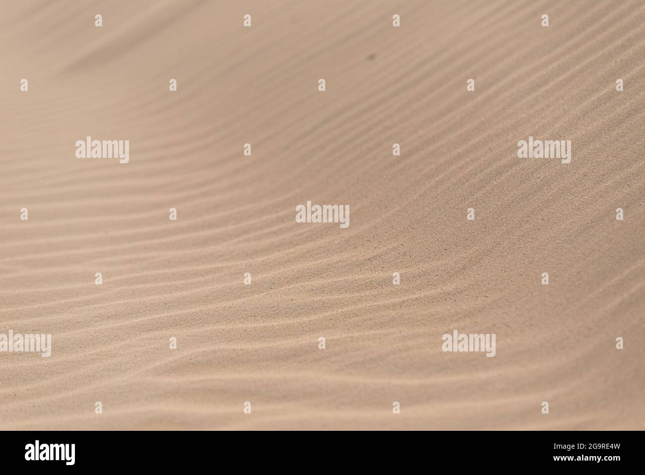 Fine texture and lines of sandy dunes in a desert Stock Photo - Alamy