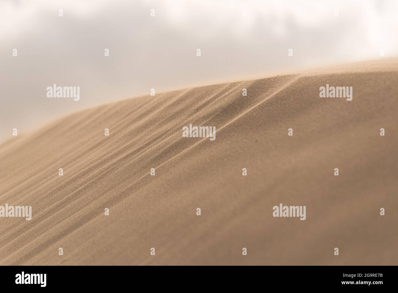 Fine texture and lines of sandy dunes in a desert Stock Photo - Alamy