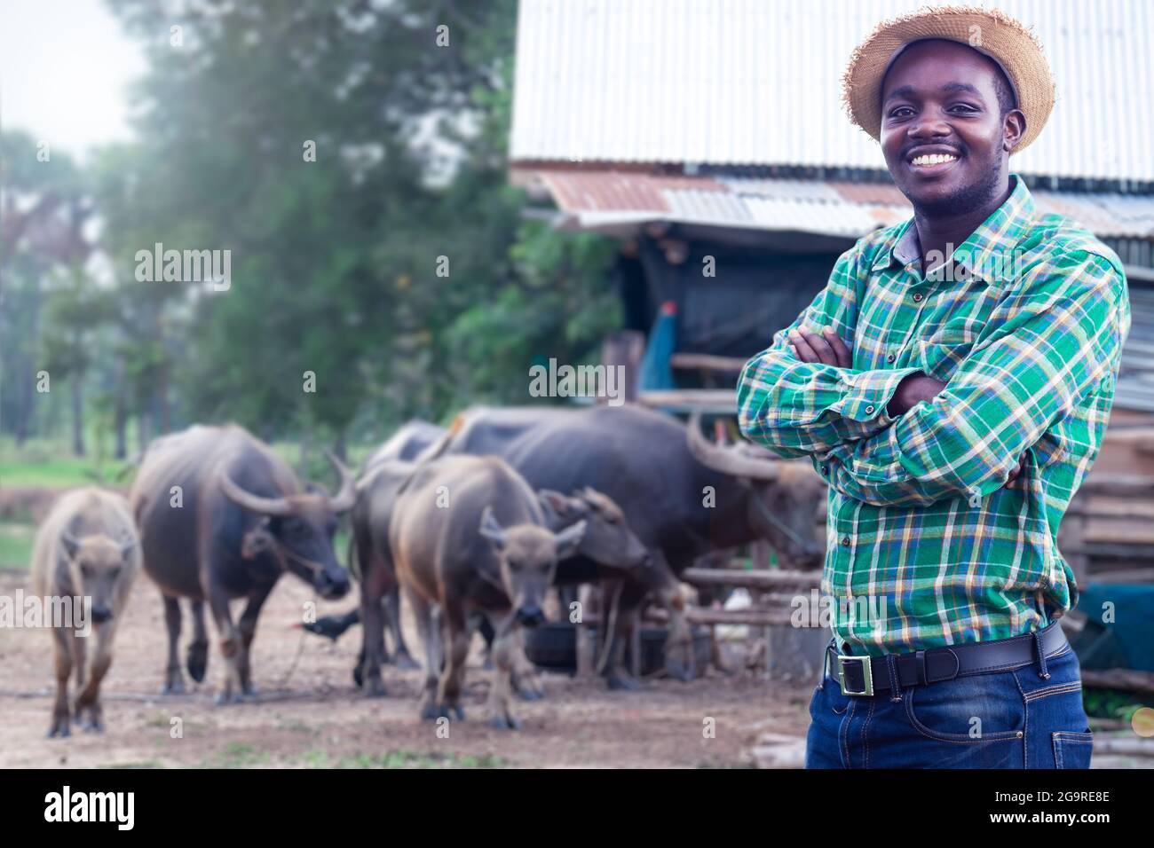 African Farmer with hat stand in the water buffalo farm.Agriculture or ...