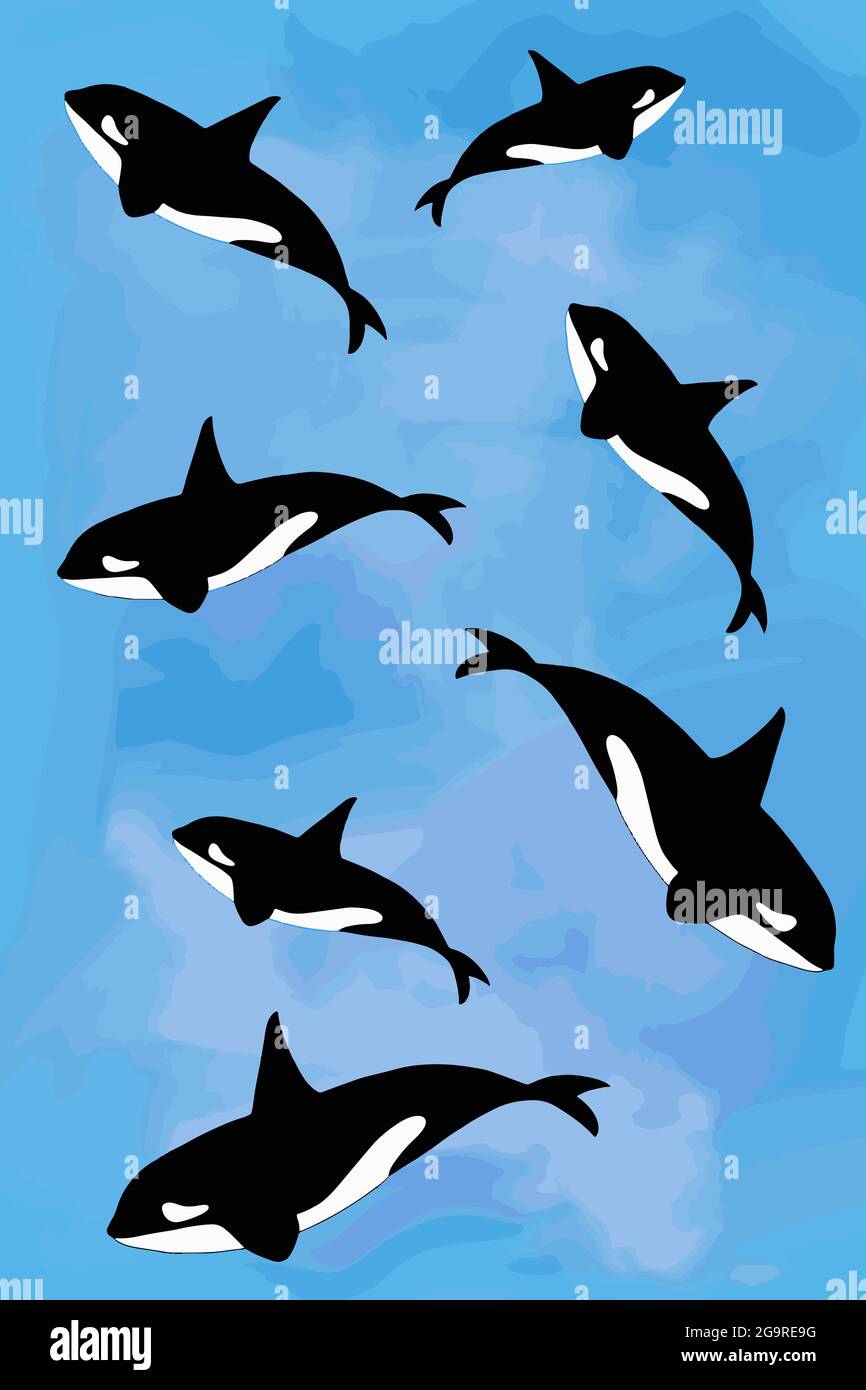 Cartoon orca,killer, whale pattern, blue background Stock Photo - Alamy