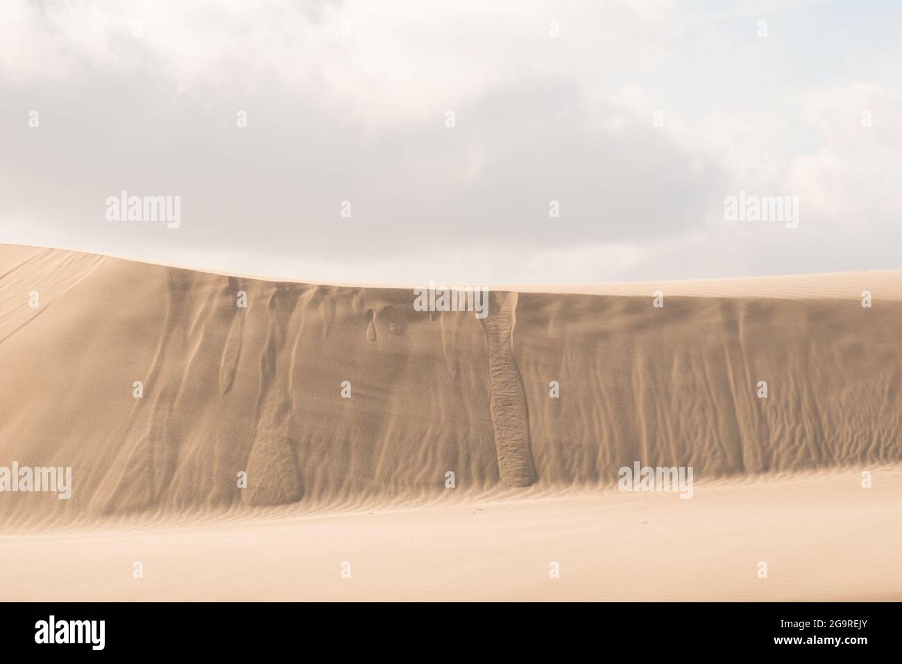 Fine texture and lines of sandy dunes in a desert Stock Photo - Alamy