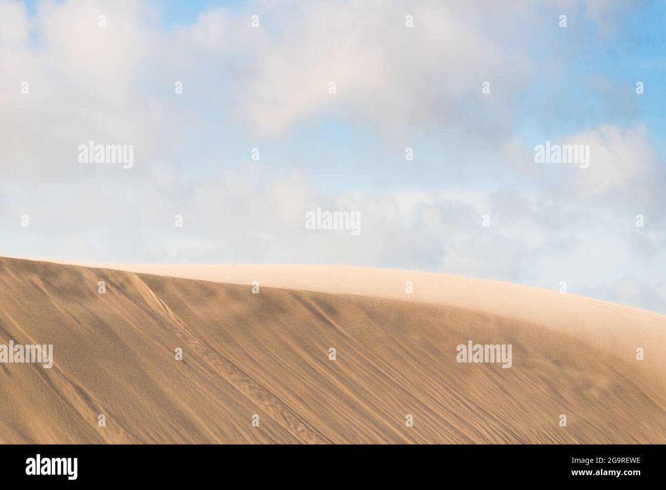 Fine texture and lines of sandy dunes in a desert Stock Photo - Alamy
