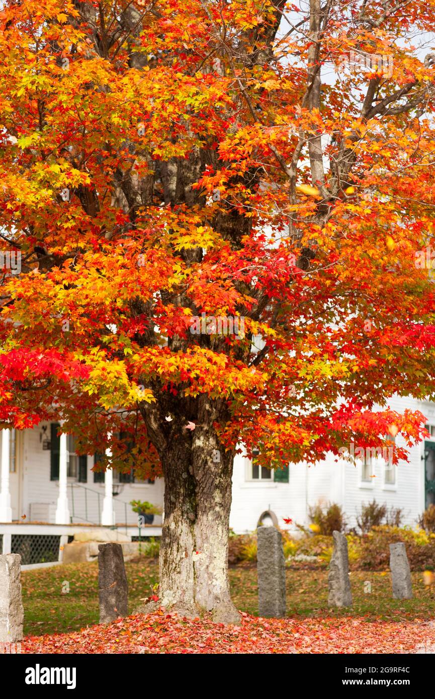 Wakefield new hampshire hi-res stock photography and images - Alamy