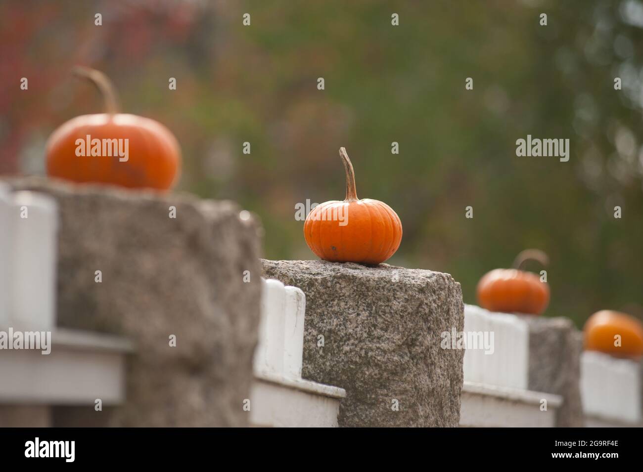 Wakefield village hi-res stock photography and images - Alamy