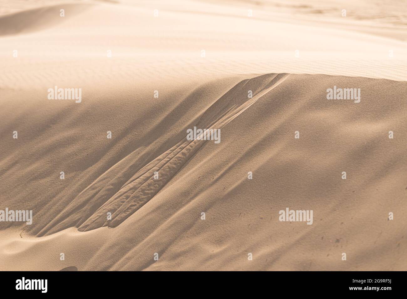 Fine texture and lines of sandy dunes in a desert Stock Photo - Alamy