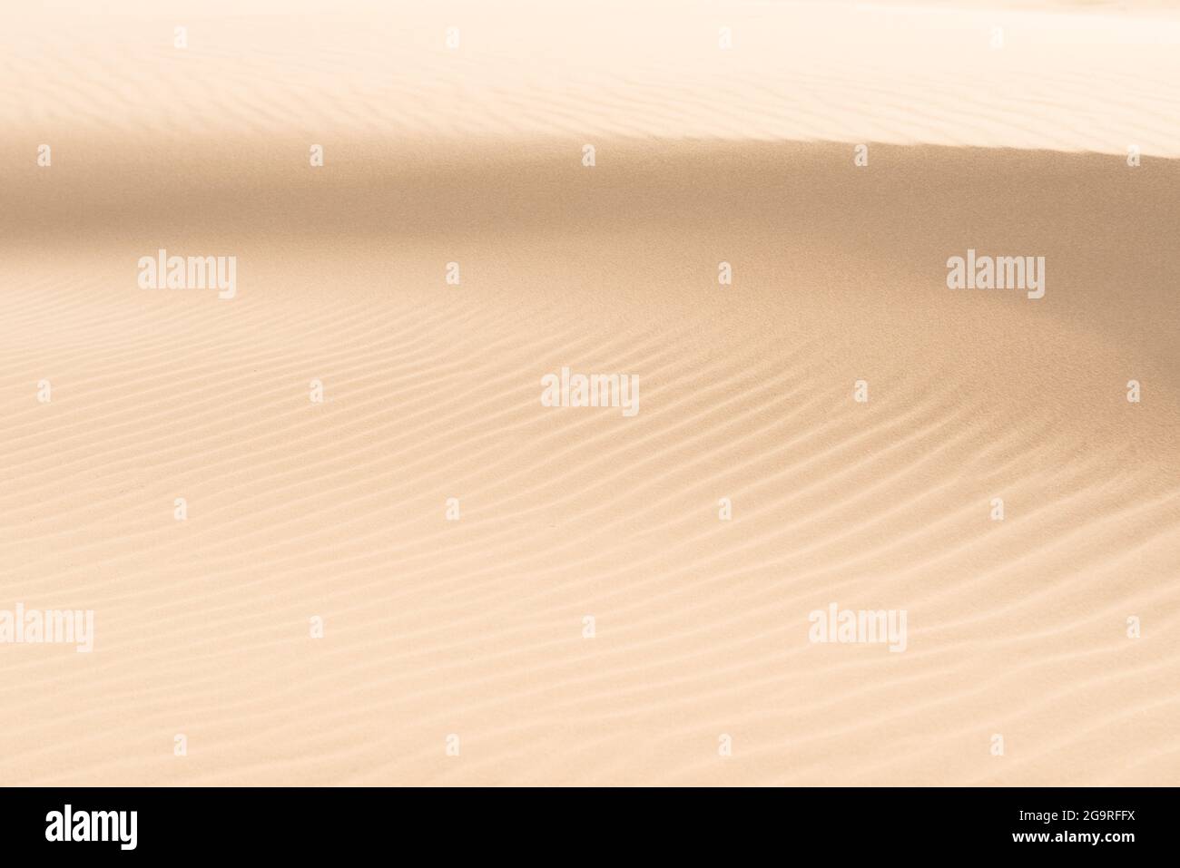 Fine texture and lines of sandy dunes in a desert Stock Photo - Alamy