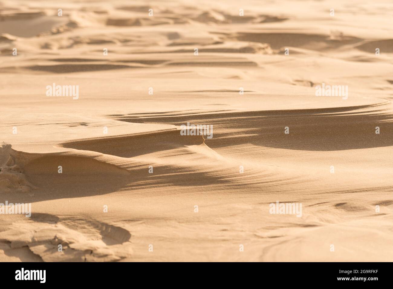 Fine texture and lines of sandy dunes in a desert Stock Photo - Alamy
