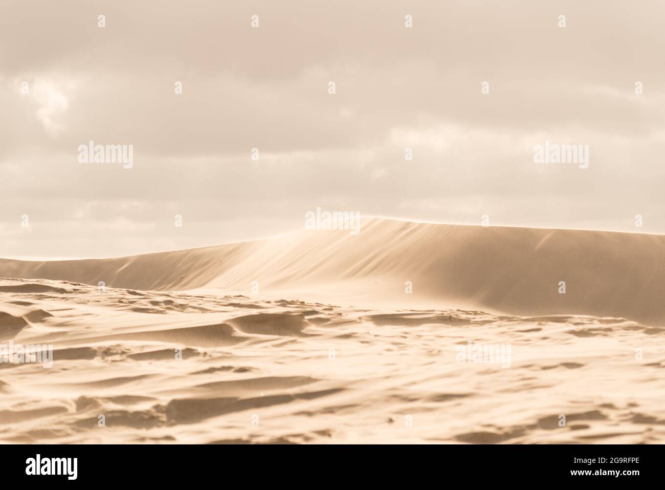 Fine texture and lines of sandy dunes in a desert Stock Photo - Alamy