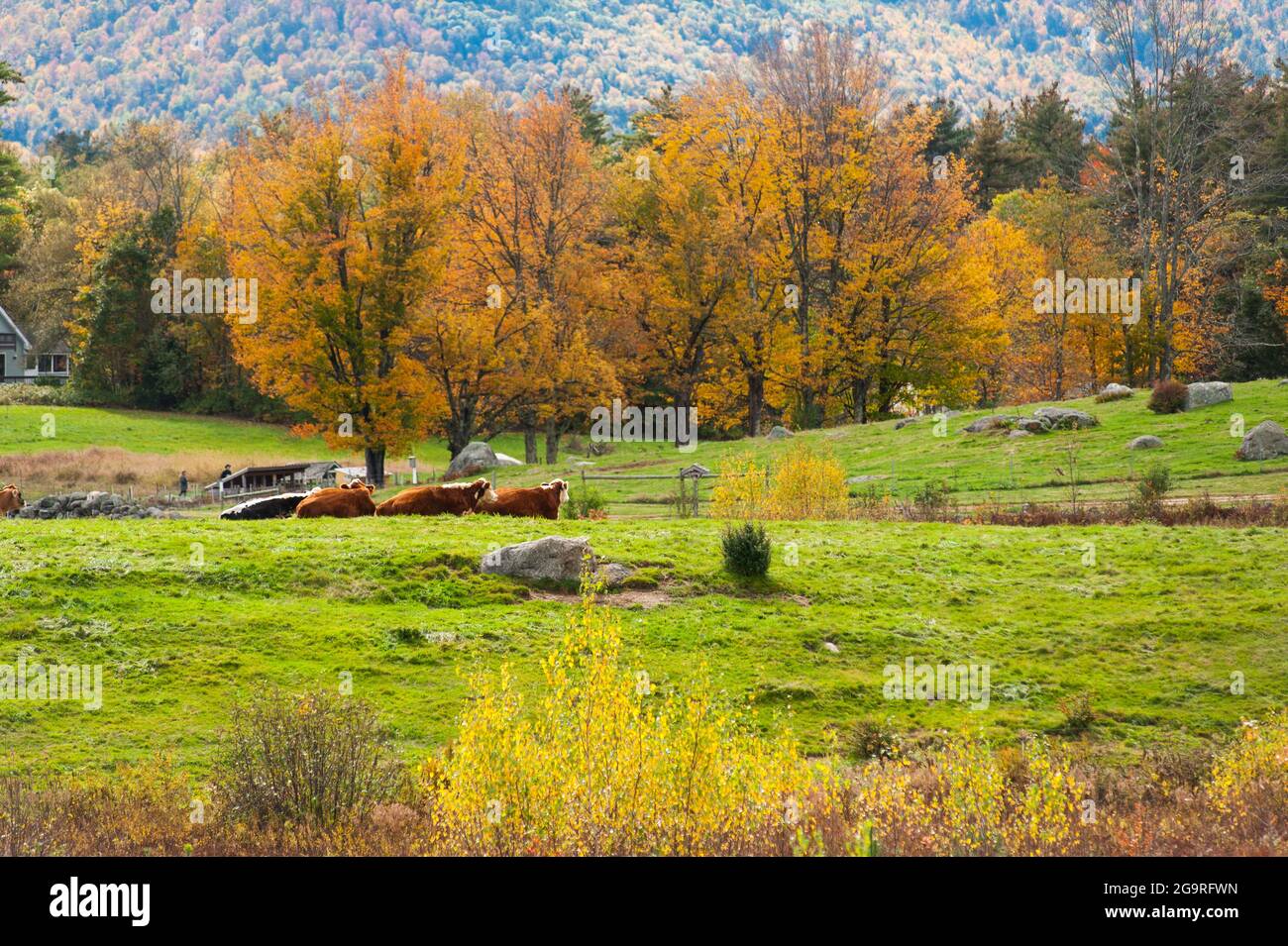 Country doctor museum hi-res stock photography and images - Alamy