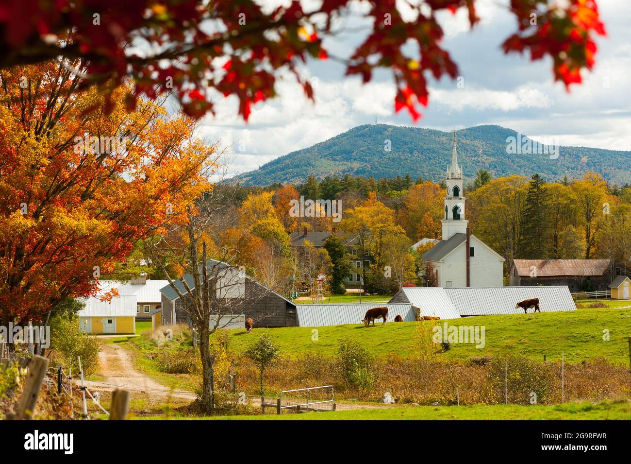 Country Doctor Museum High Resolution Stock Photography and Images - Alamy
