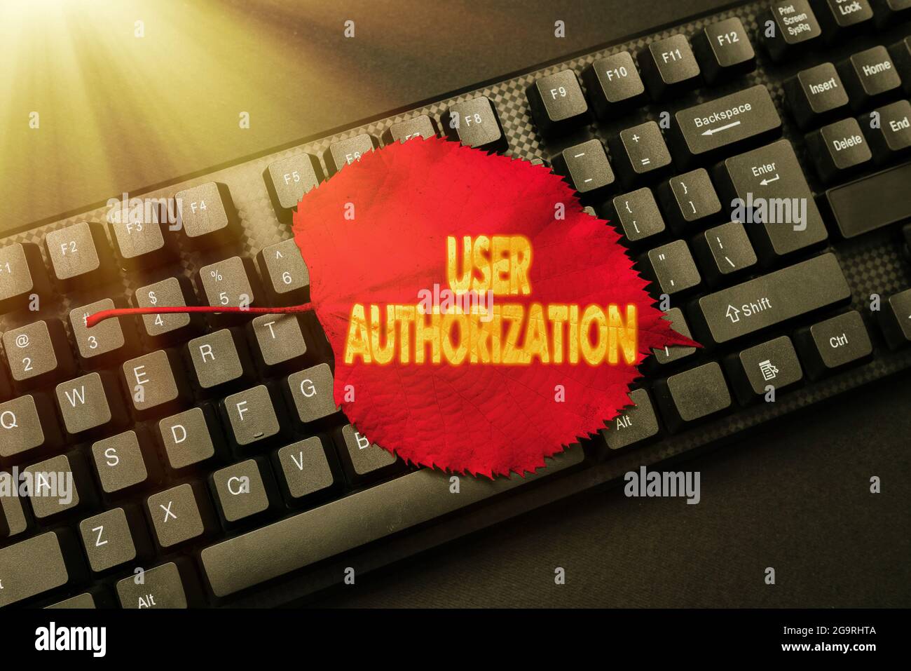 Approve Safety High Resolution Stock Photography and Images - Alamy