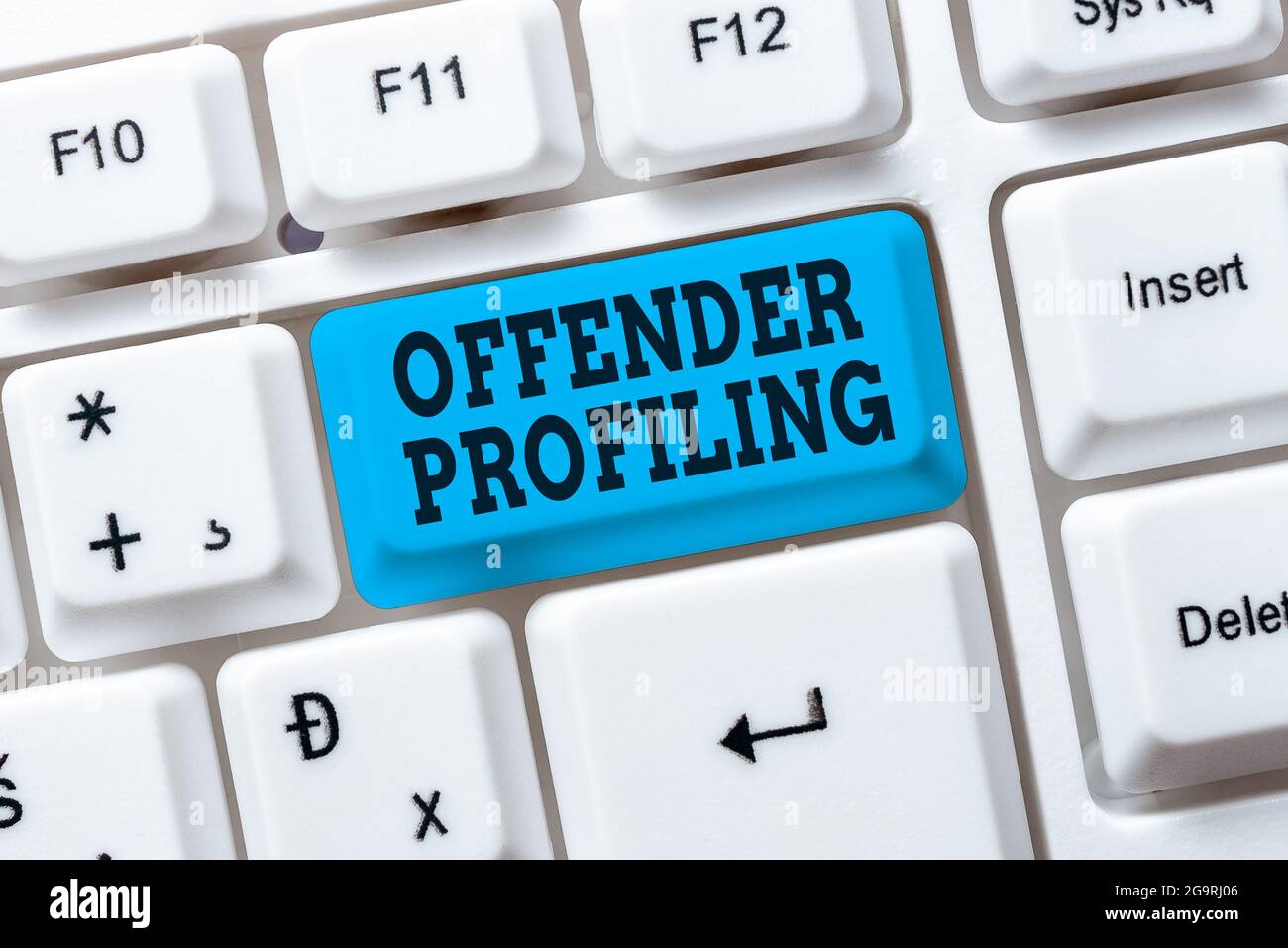 Inspiration showing sign Offender Profiling. Business overview Develop ...
