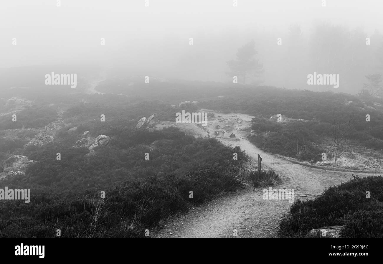 A path in a foggy landscape Stock Photo - Alamy