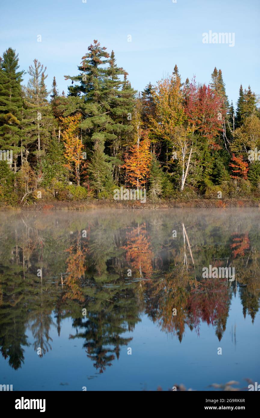 Androscoggin river trail hi-res stock photography and images - Alamy