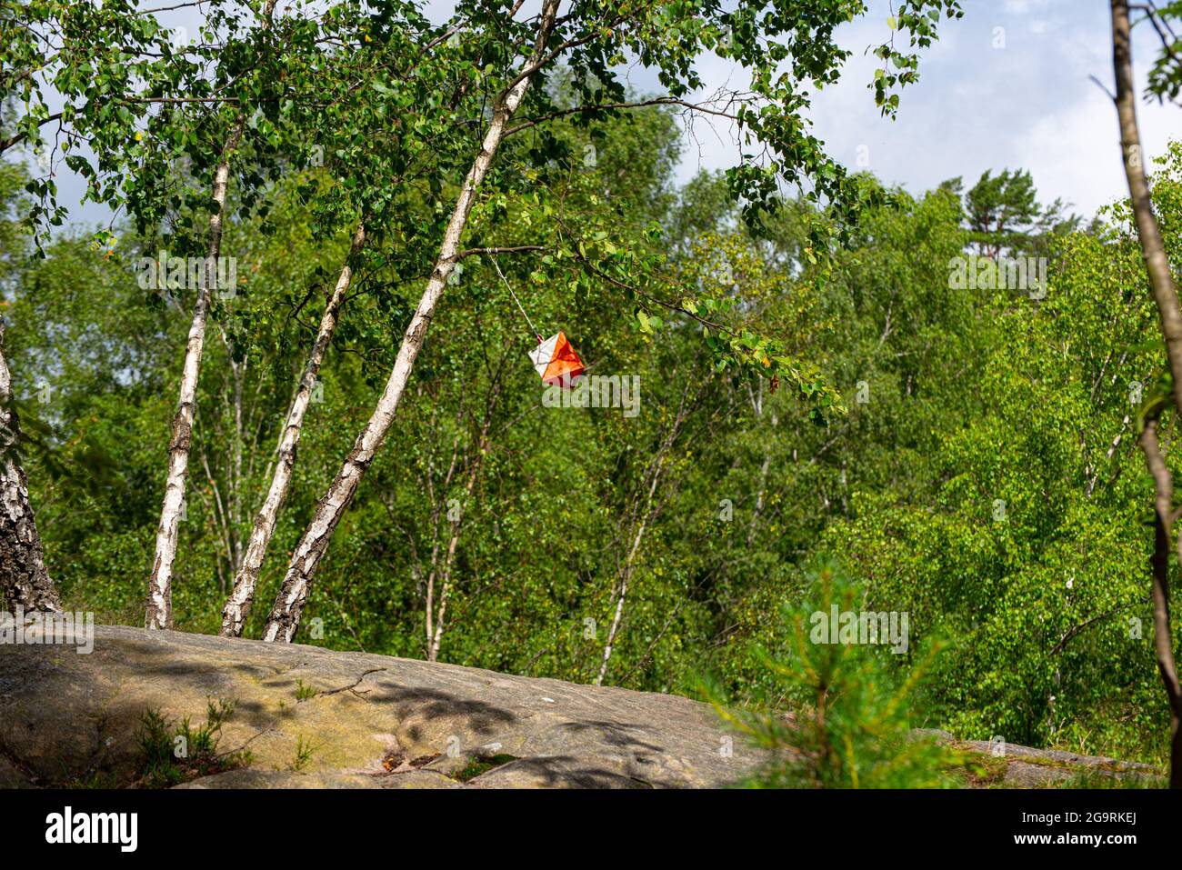 White and orange orienteering kite hanging from a tree Stock Photo - Alamy