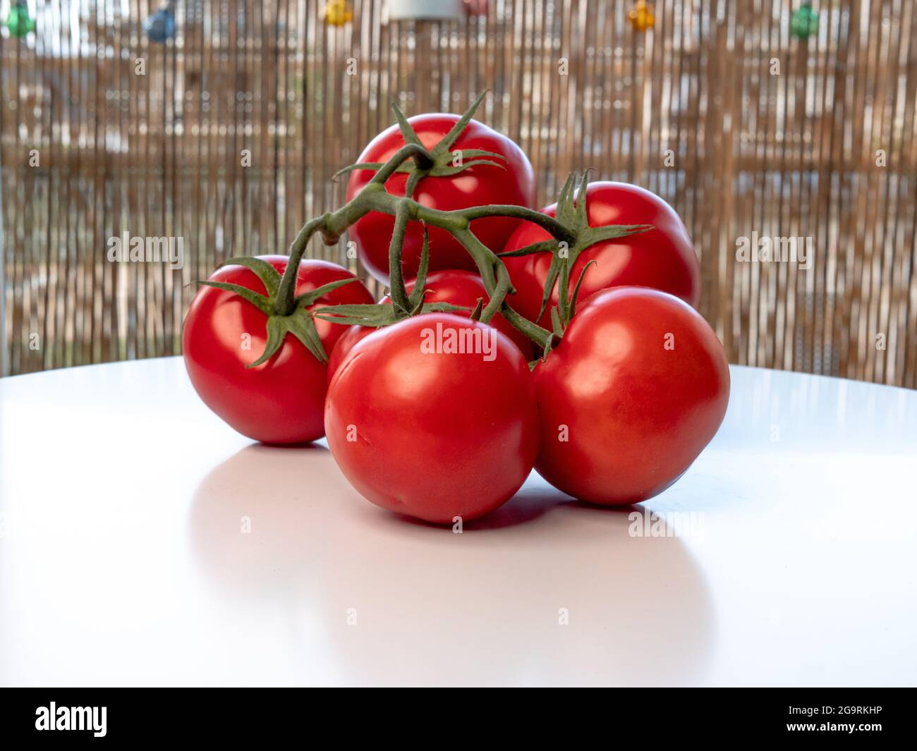 Close up tomatoes rotating on hi-res stock photography and images - Alamy
