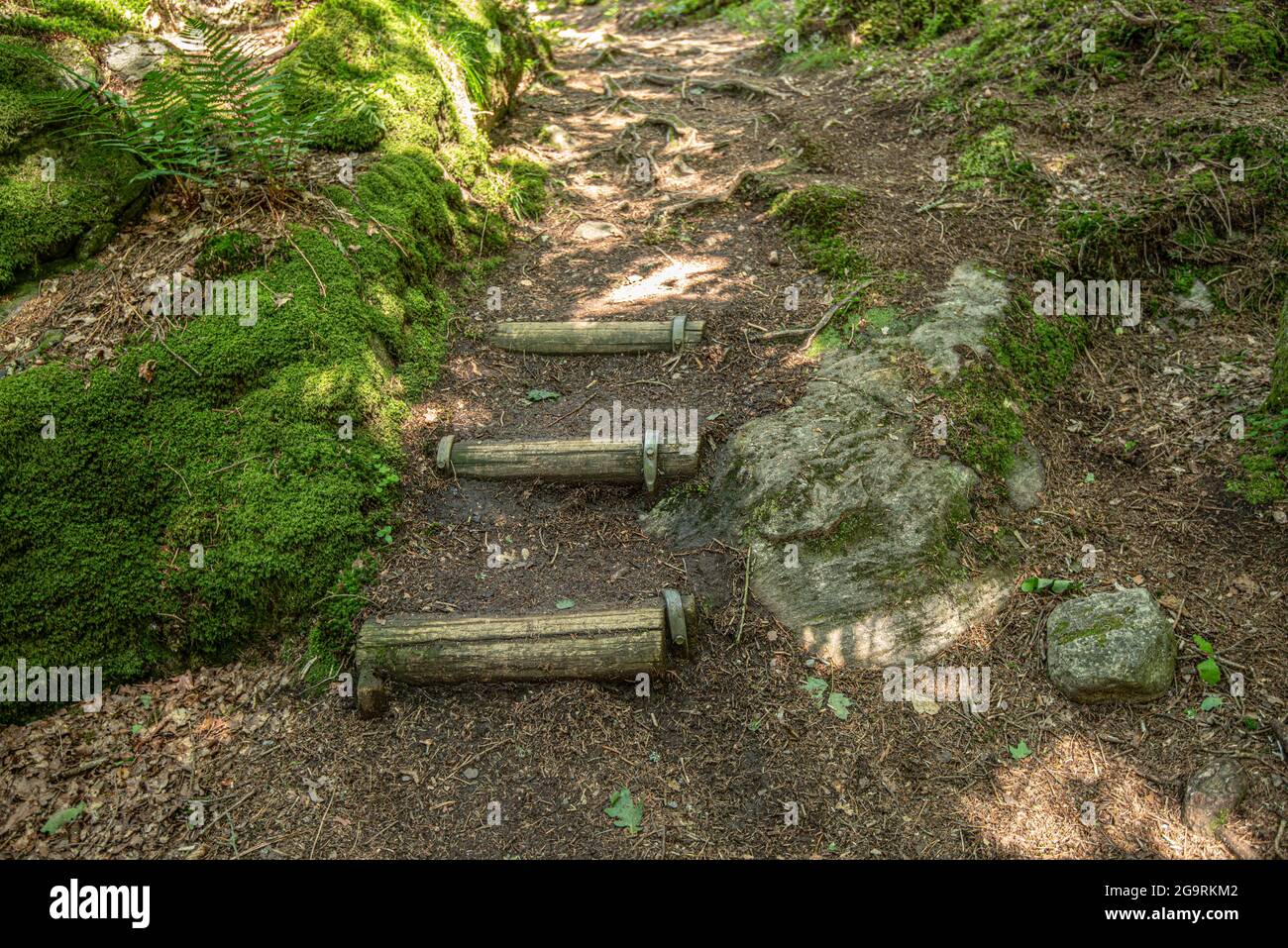 Wooden steps on a steep path through a forest Stock Photo - Alamy