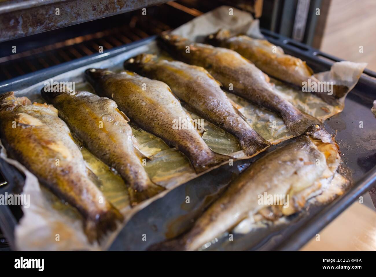 A lot of cooked fried roasted grilled meat or fish from a grill or oven ...