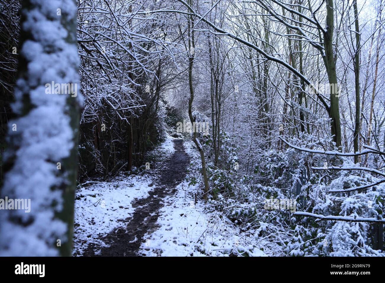 Snowy path in Christmas - Winter Stock Photo - Alamy