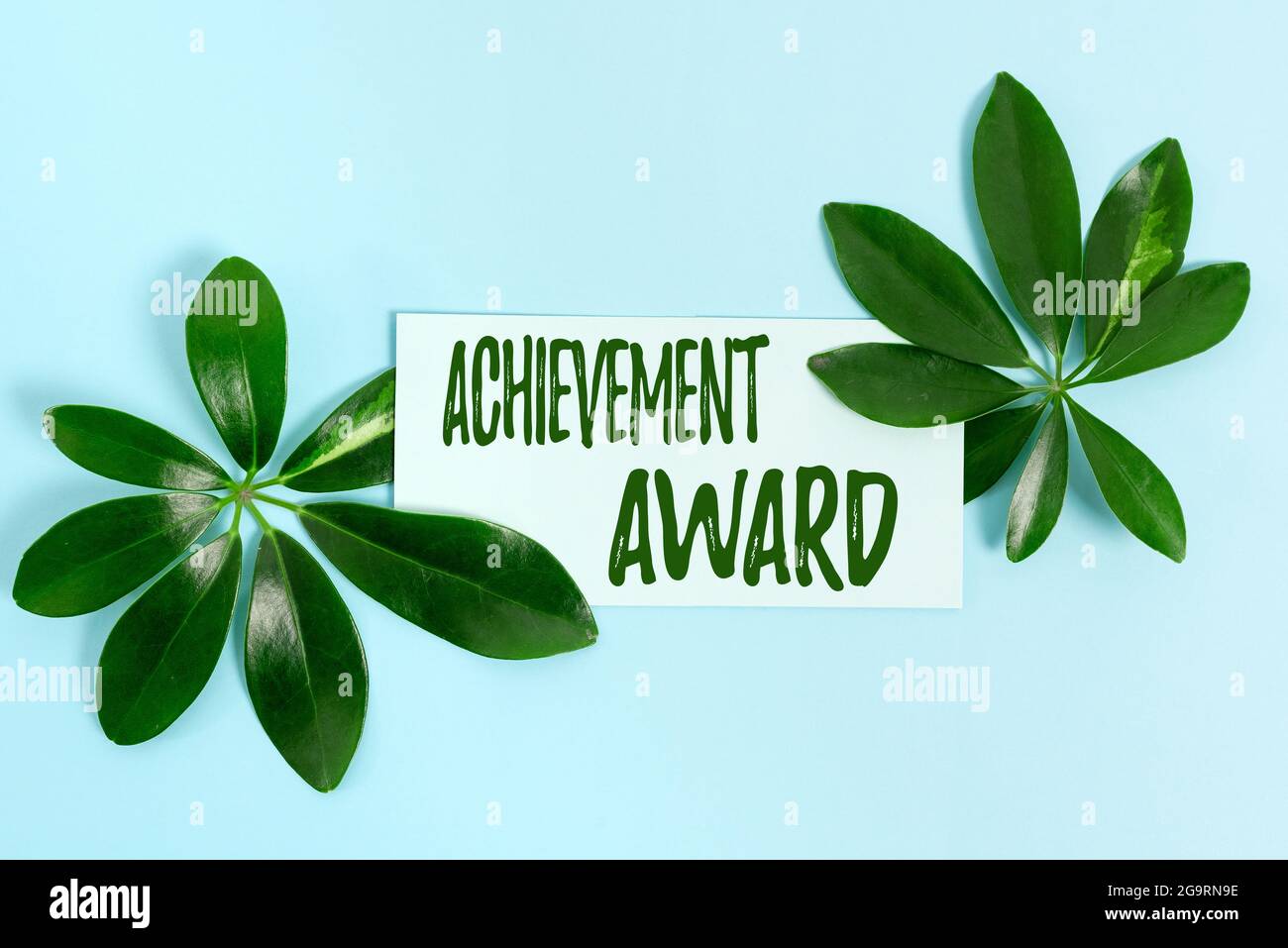 Text caption presenting Achievement Award, Business showcase recognizes ...