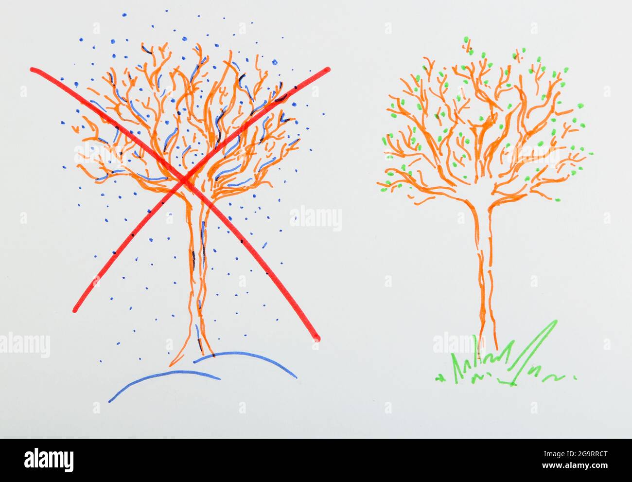 Figure of tree in winter and spring on paper Stock Photo - Alamy
