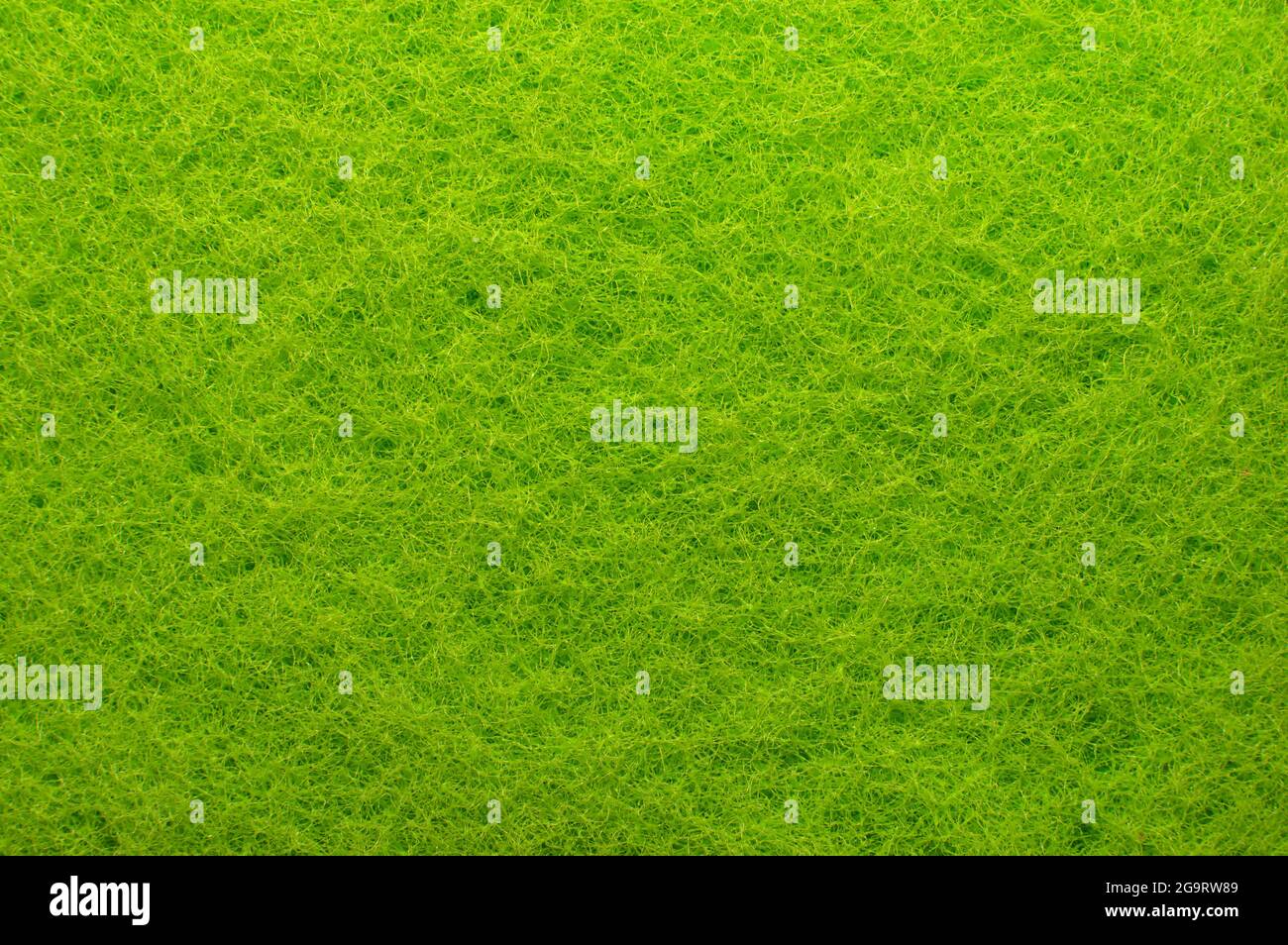 Textile. Background from green material. Enlarged spongy fibers. Sponge ...