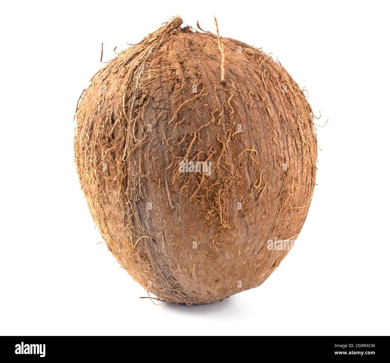 Tropical coconut fruit isolated on white background close up Stock ...