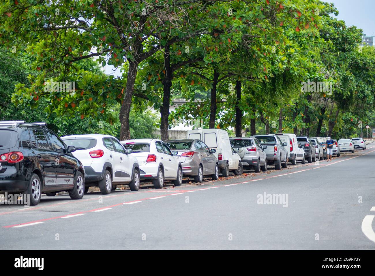 Cars lined up on a street Stock Photo - Alamy