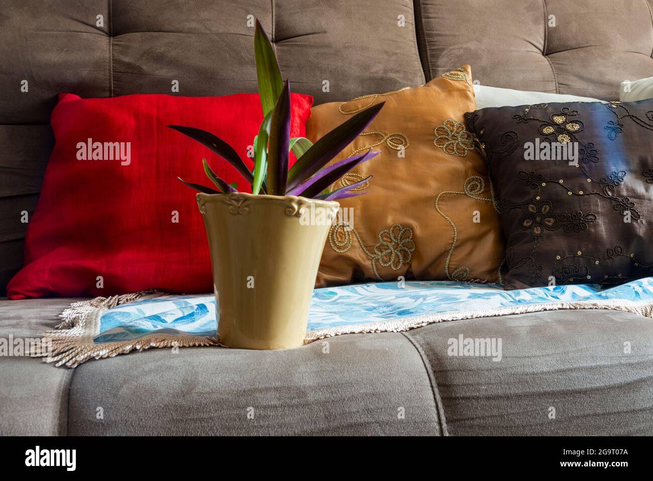 Plant pot on the sofa Stock Photo - Alamy