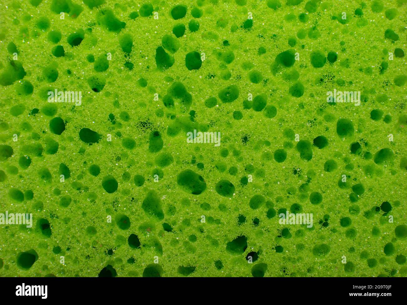 Textile. Background from green material. Enlarged spongy fibers. Sponge ...