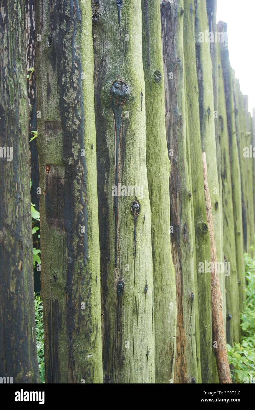 Native built fence hi-res stock photography and images - Alamy