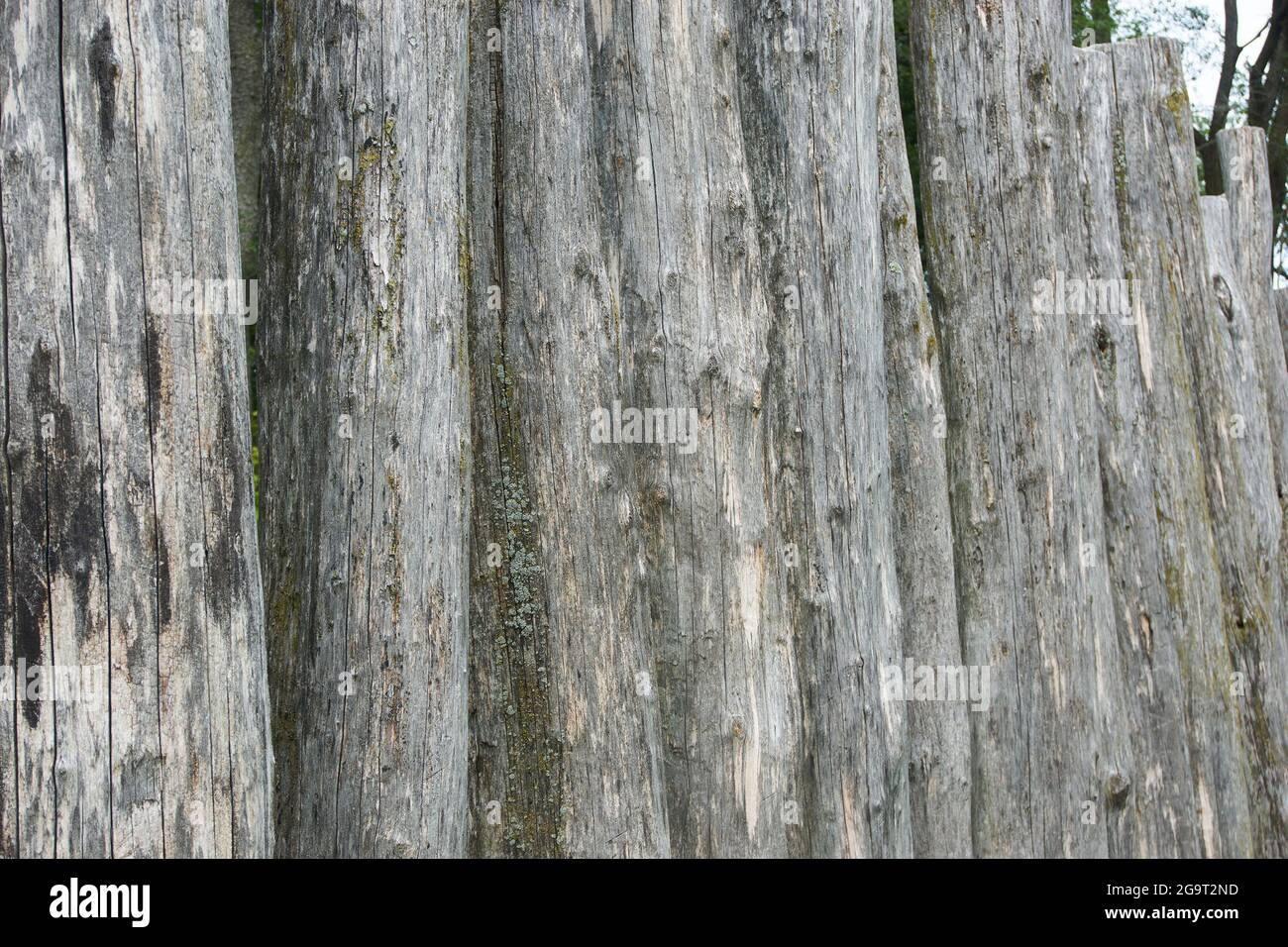 Detail of an ancient Native American wood fence in Wisconsin state park ...