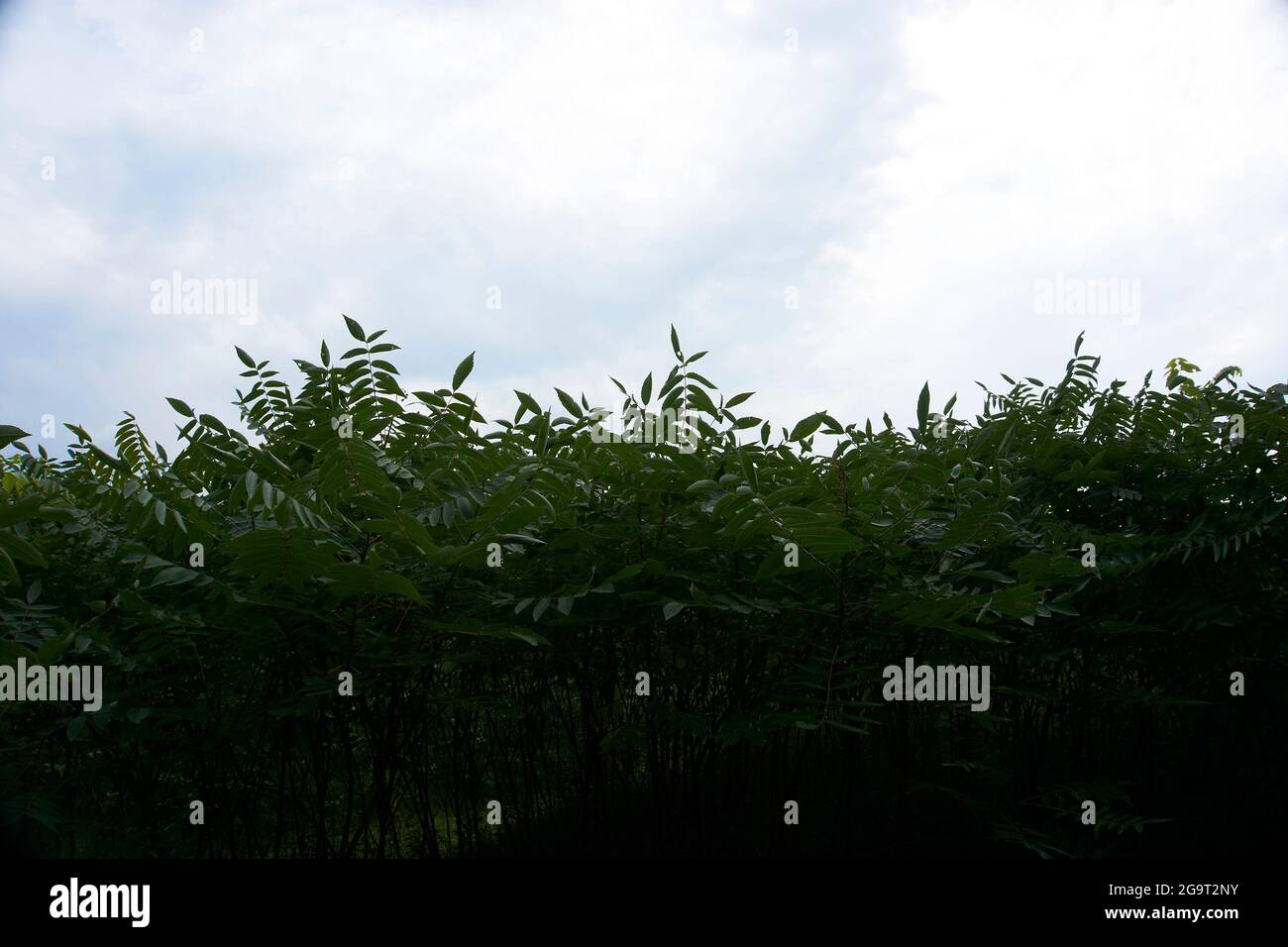 Aztalan State Park, Lake Mills Wisconsin Stock Photo - Alamy