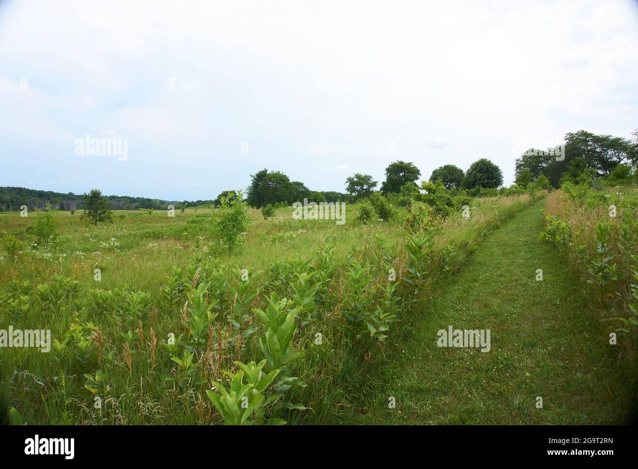 Aztalan mounds hi-res stock photography and images - Alamy