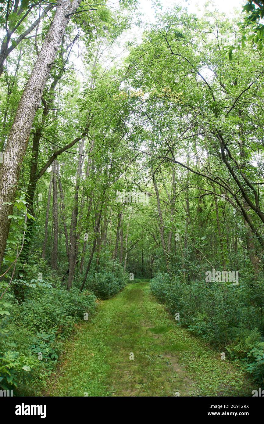 Aztalan State Park, Lake Mills Wisconsin Stock Photo - Alamy