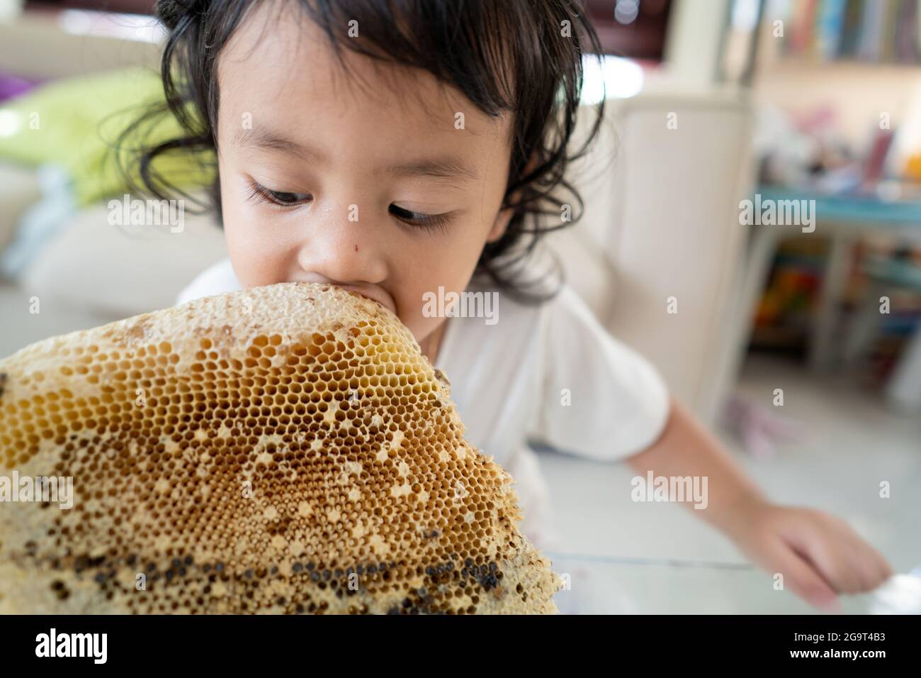 Cute Southeast Asian female child eating a honeycomb Stock Photo - Alamy