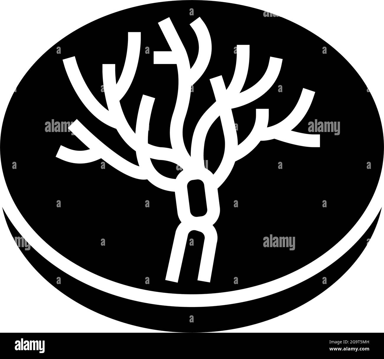 penicillium mold fungi glyph icon vector. penicillium mold fungi sign ...