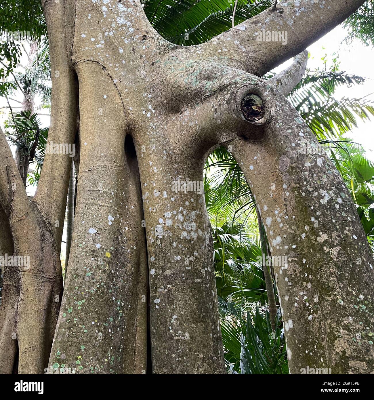 Unique florida destination hi-res stock photography and images - Alamy