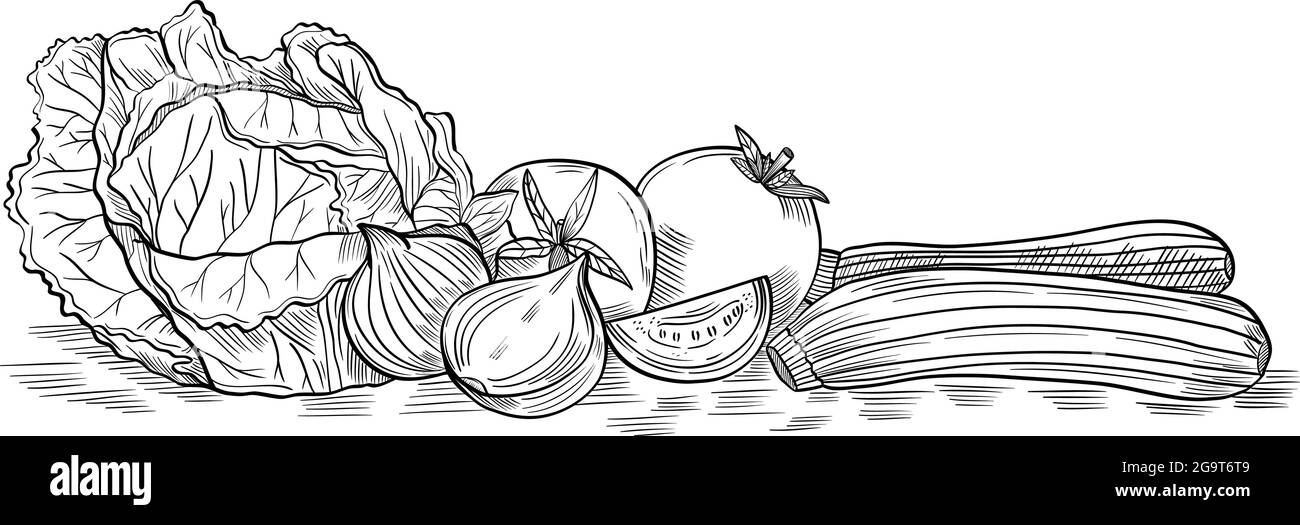 Vegan vegetables healthy food green doodle style hand drawing ...