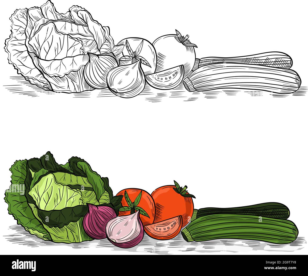 Vegan vegetables healthy food green doodle style double drawing ...