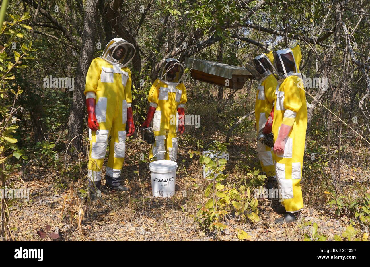 Kapiri Mposhi, Zambia. 27th July, 2021. Employees of Mpundu Wild Honey ...
