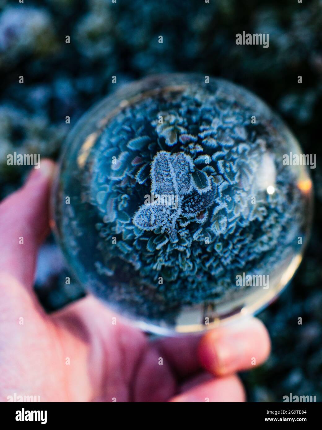 Vertical shot of a hand holding a reflective glass ball Stock Photo - Alamy