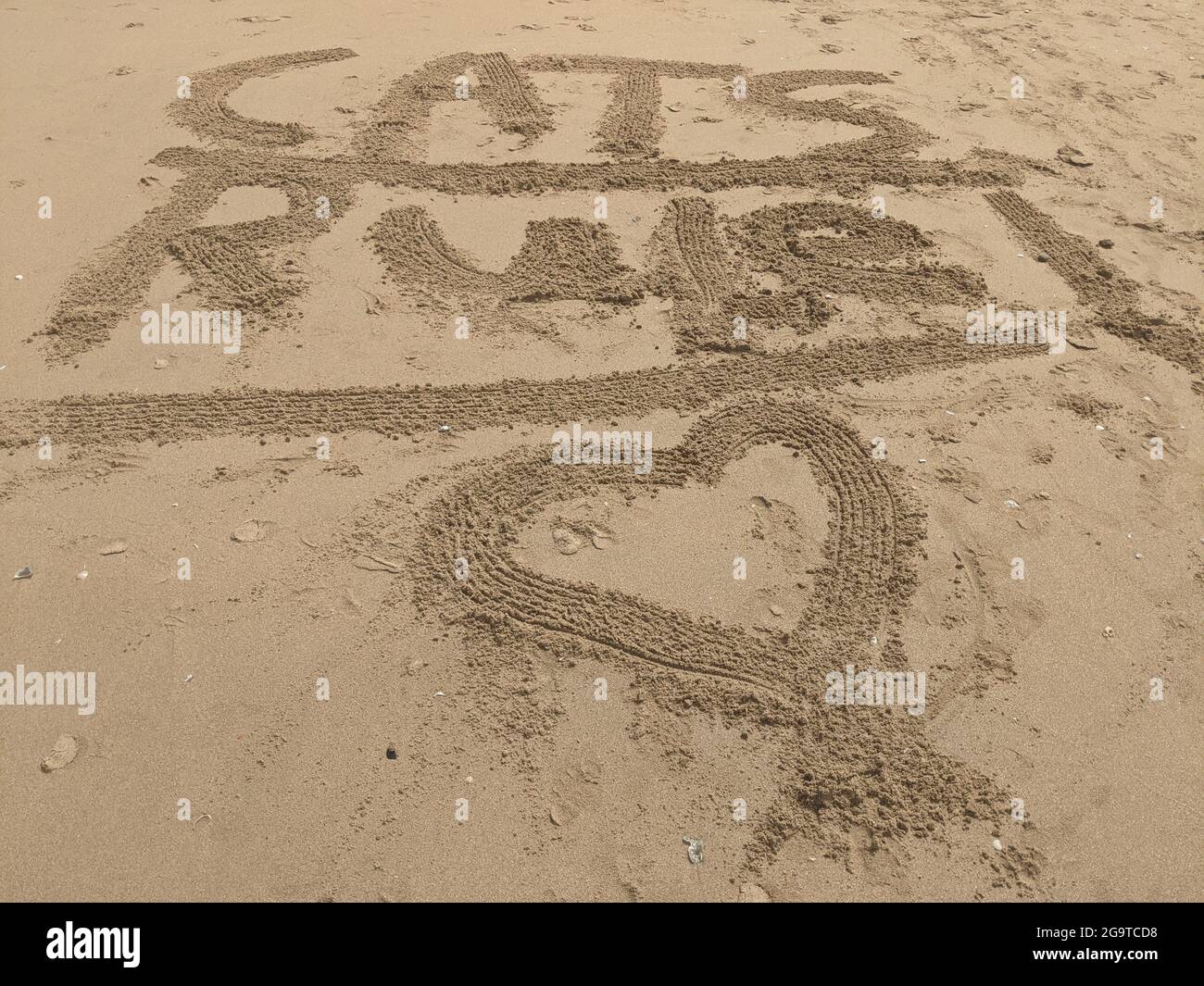 Cats rule hi-res stock photography and images - Alamy