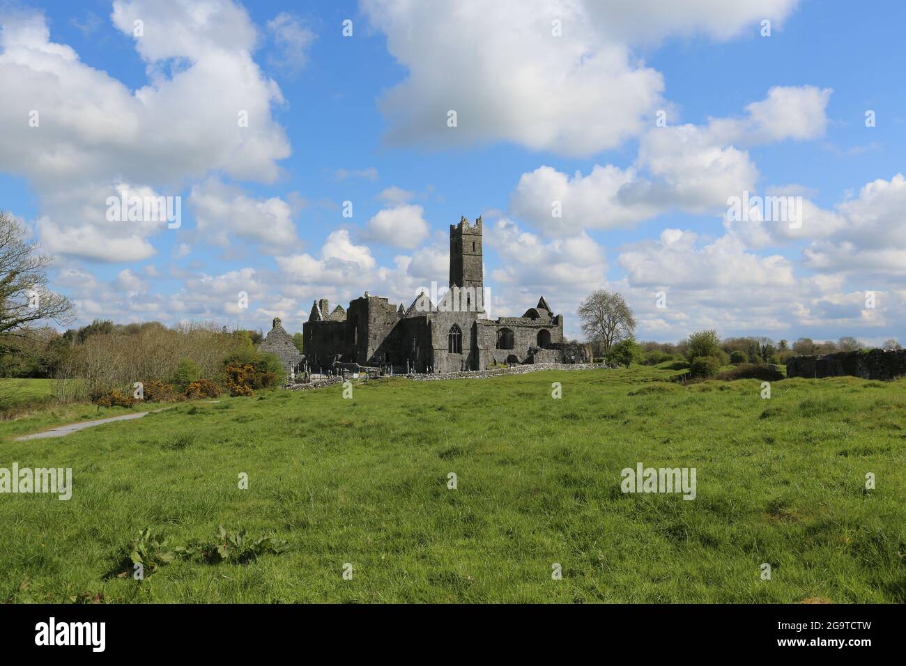 Scenic shot of the Quin Abbey in Quin, Ireland, surrounded by grass and ...