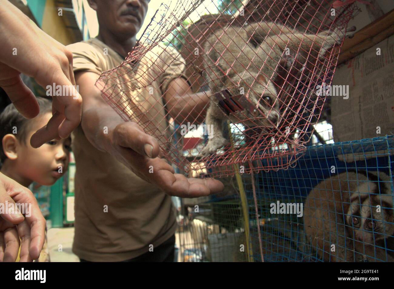 A roadside animal vendor near an animal market that also sells wildlife ...