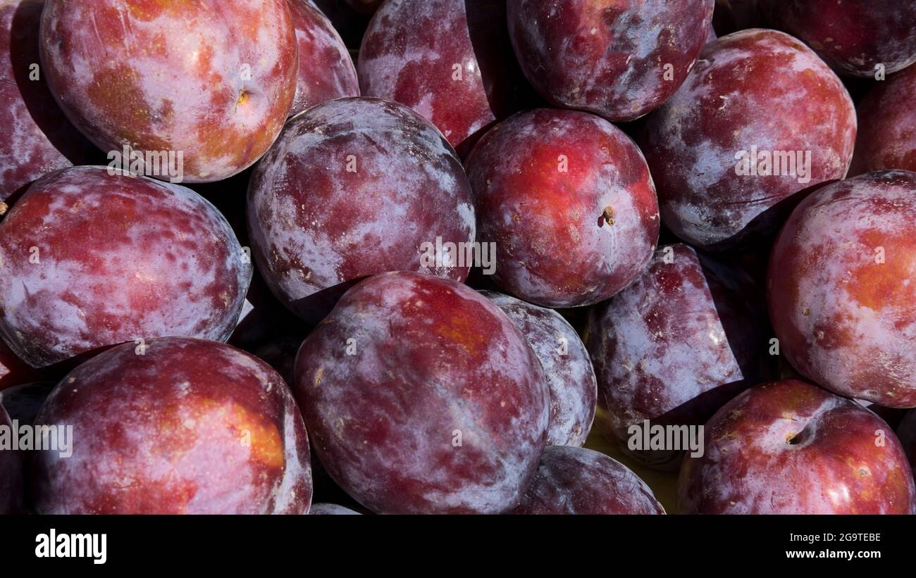 Dusty white waxy hi-res stock photography and images - Alamy
