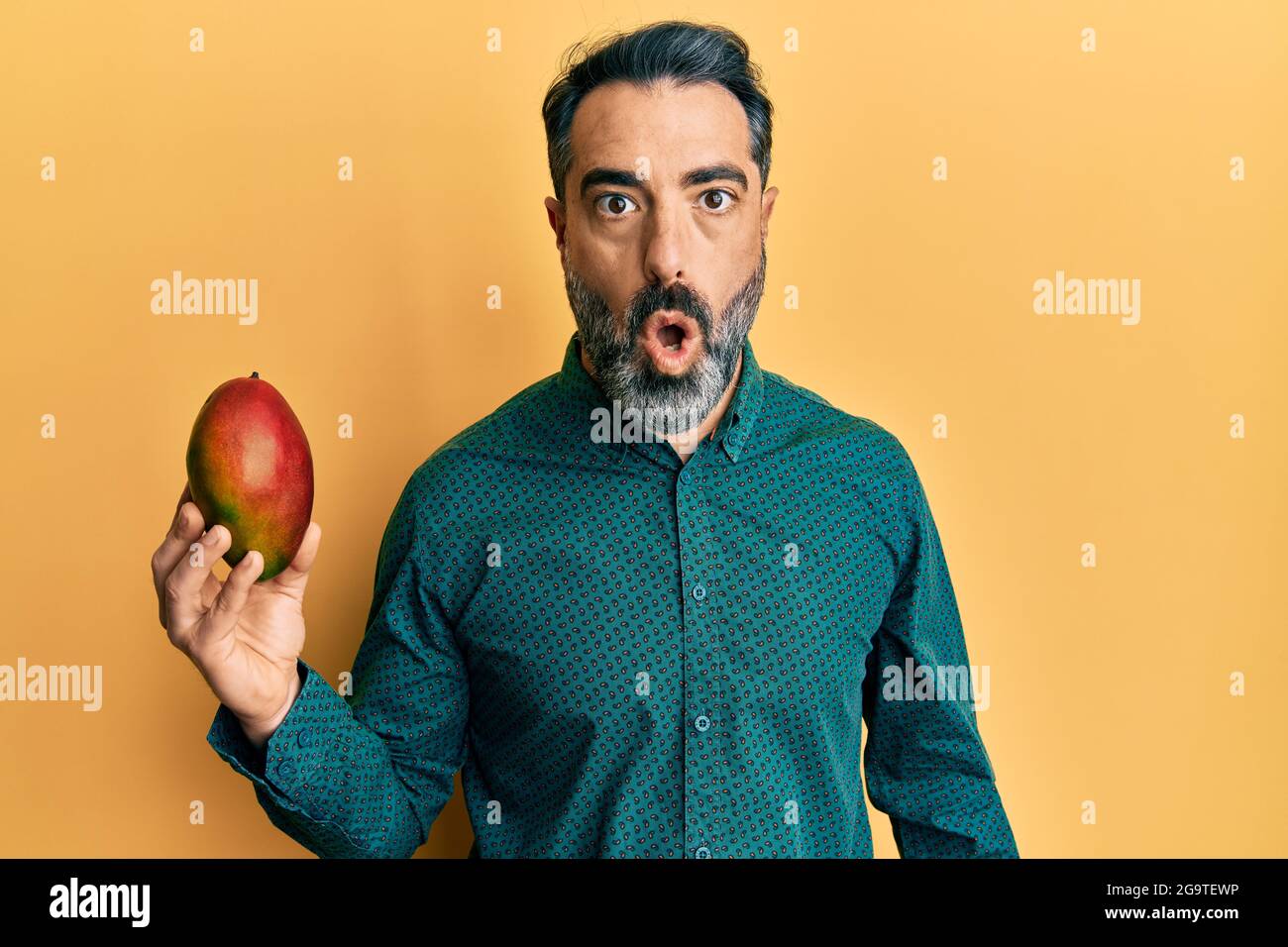 Middle age man with beard and grey hair holding mango scared and amazed ...