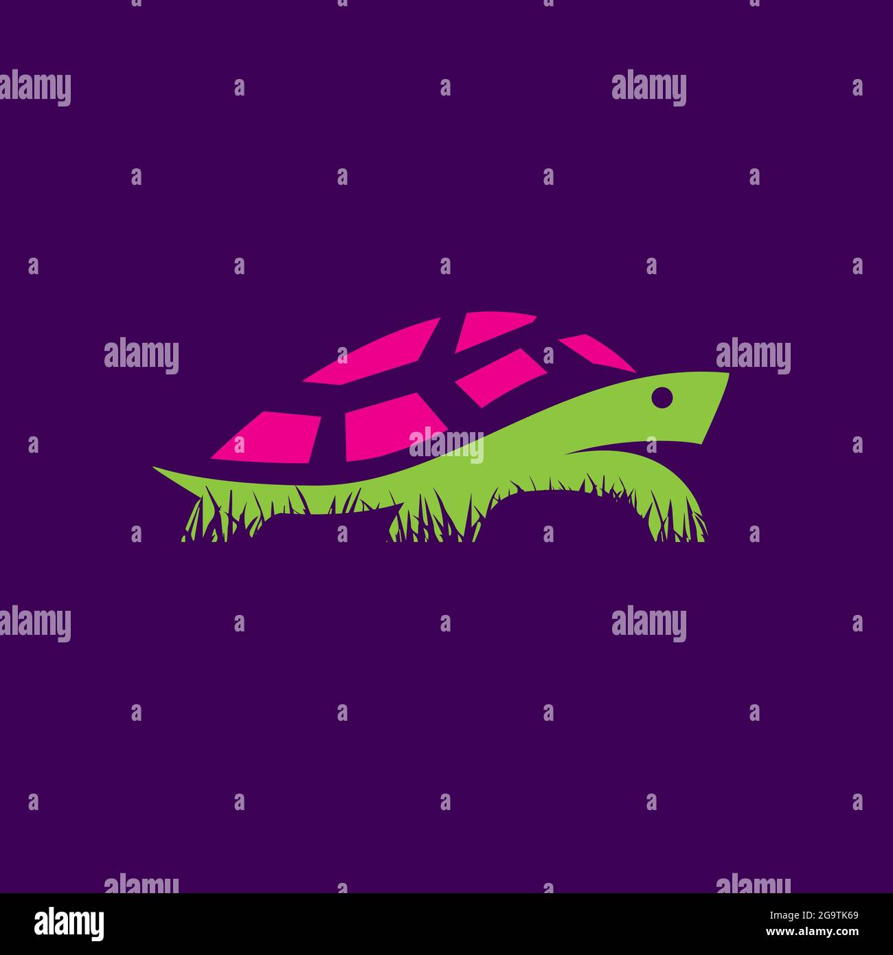 Turtle graphic hi-res stock photography and images - Alamy