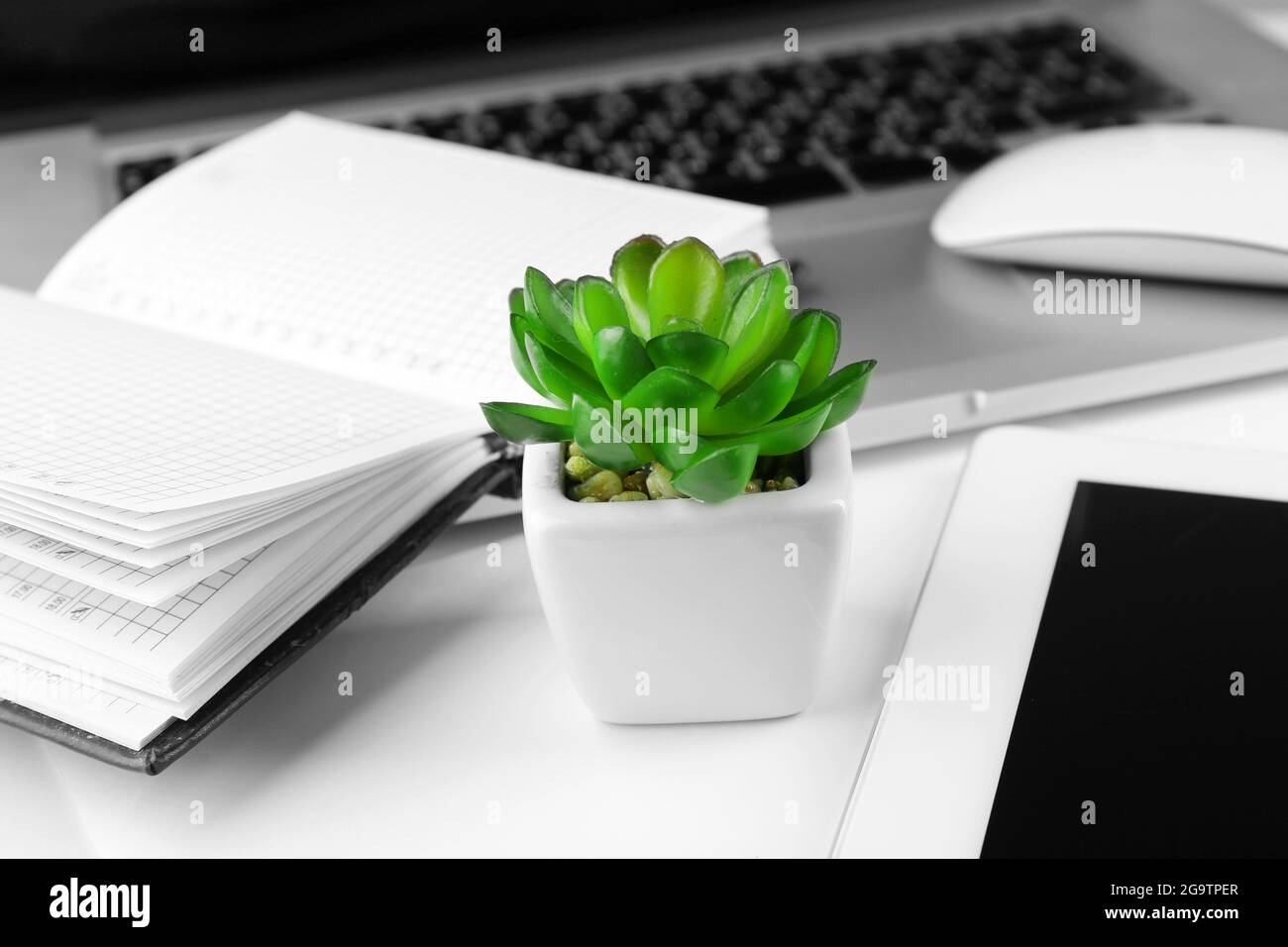 Office workplace with tablet and pot plant close up Stock Photo - Alamy